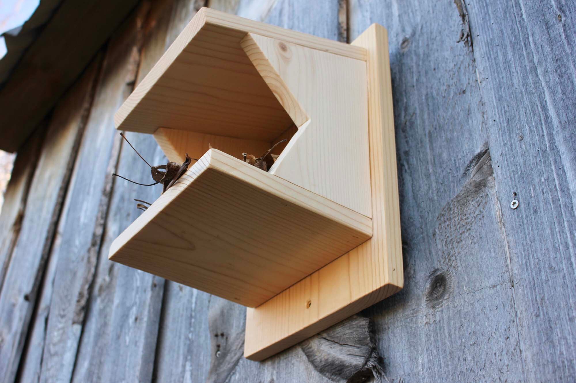 Bird Shelf - Nesting Box - Eastern Phoebe - American Robin - Mourning ...