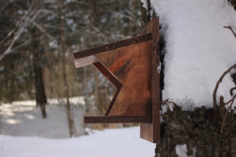 Bird Shelf - Nesting Box - Eastern Phoebe - American Robin - Mourning ...