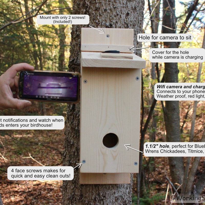 Squirrel House With Camera - Etsy