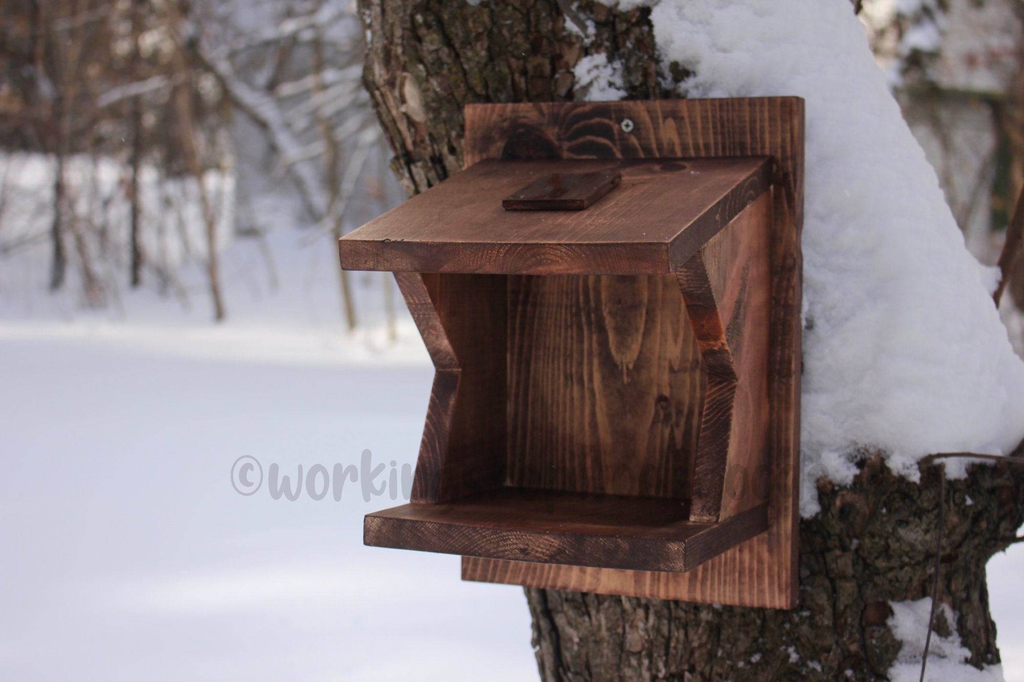 Bird Shelf With HD CAMERA Nesting Box Robin Nest Box - Etsy