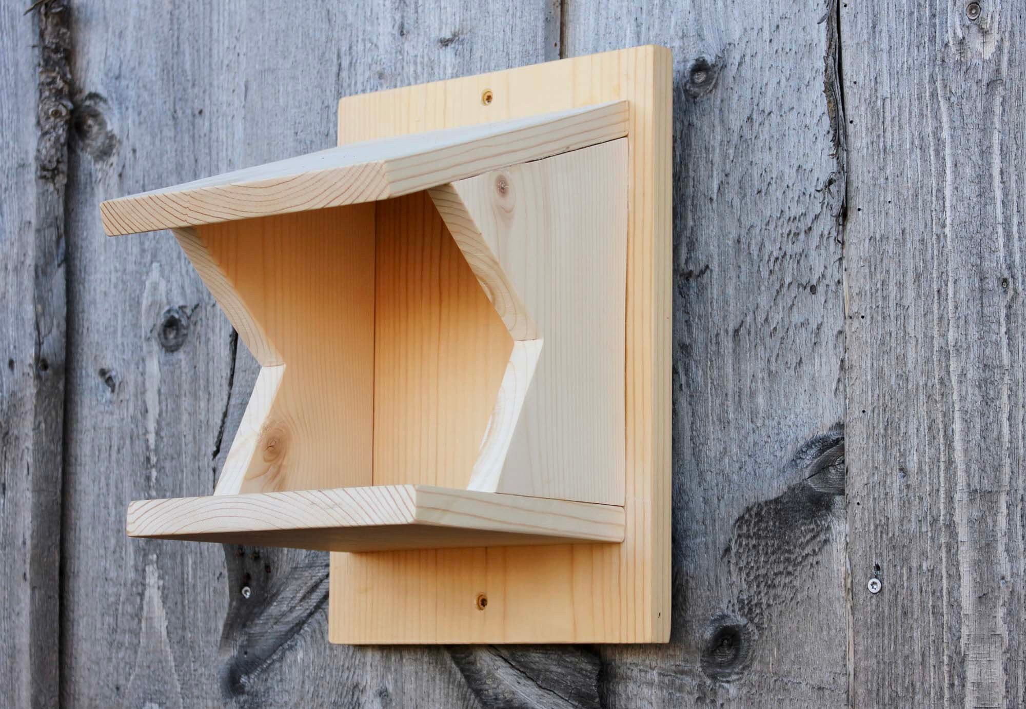 Nesting Box Bird Shelf American Robin Eastern Phoebe - Etsy