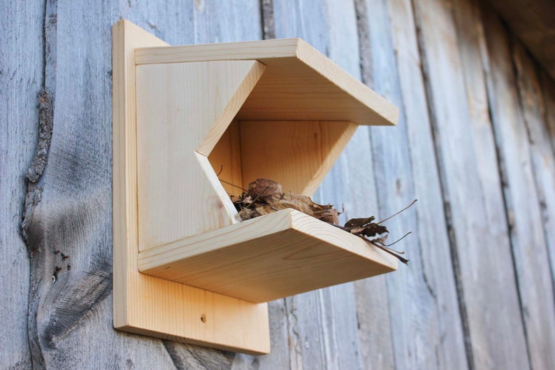 Nesting Box Bird Shelf American Robin Eastern Phoebe | Etsy