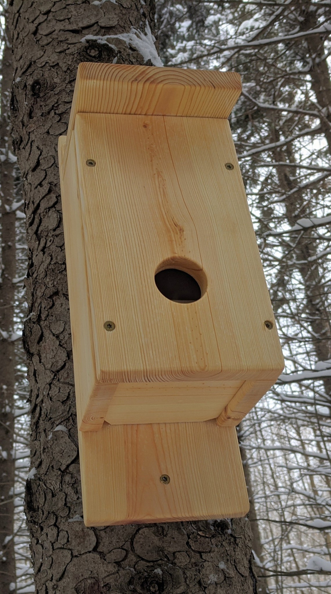 Roosting Box Winter Roost Box Nesting Box Bluebird Birdhouse Tree ...