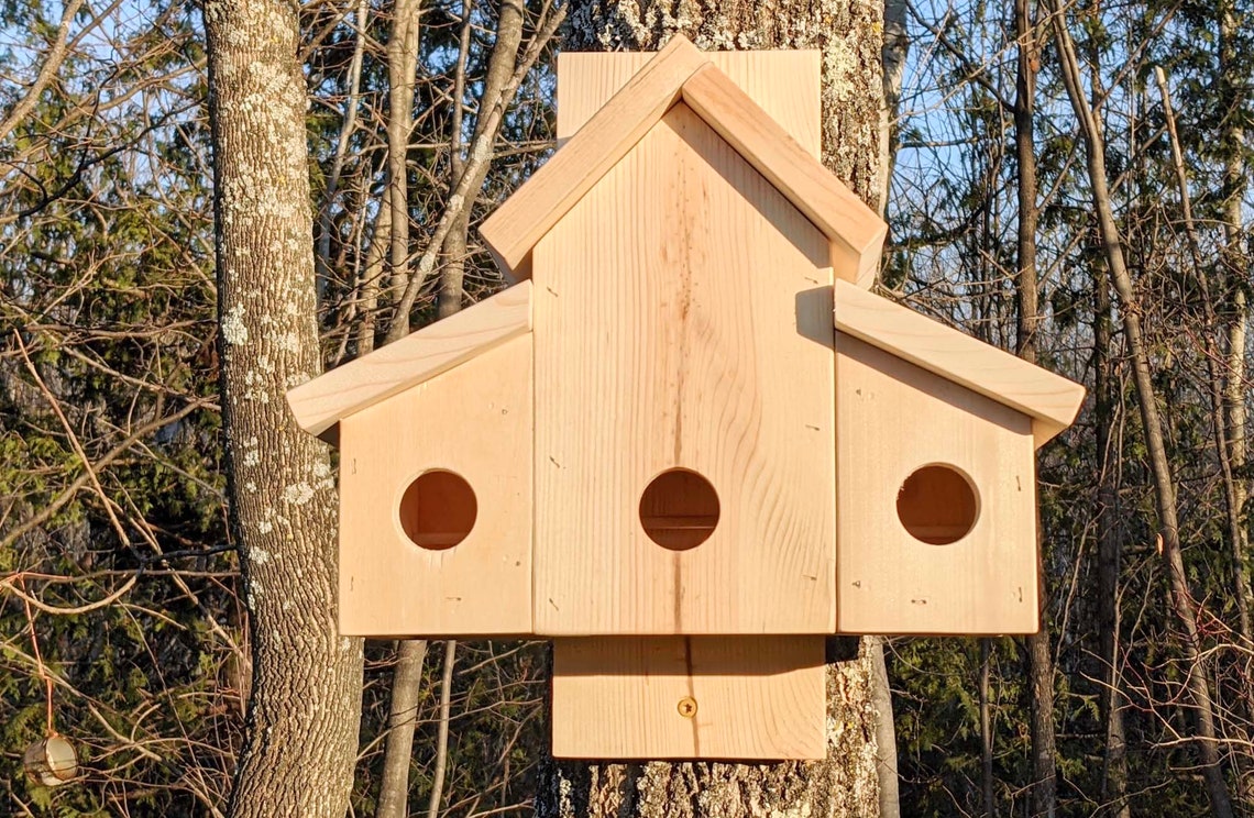 Dual Roost Box Winter Birdhouse Nest Box Bluebirds Chickadees - Etsy