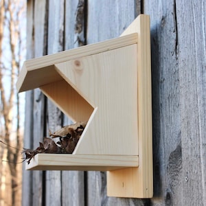 Nesting Box - Bird Shelf - American Robin - Eastern Phoebe - Morning ...
