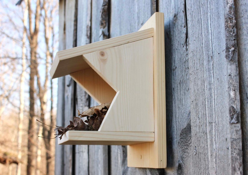 Nesting Box - Bird Shelf - American Robin - Eastern Phoebe - Morning ...