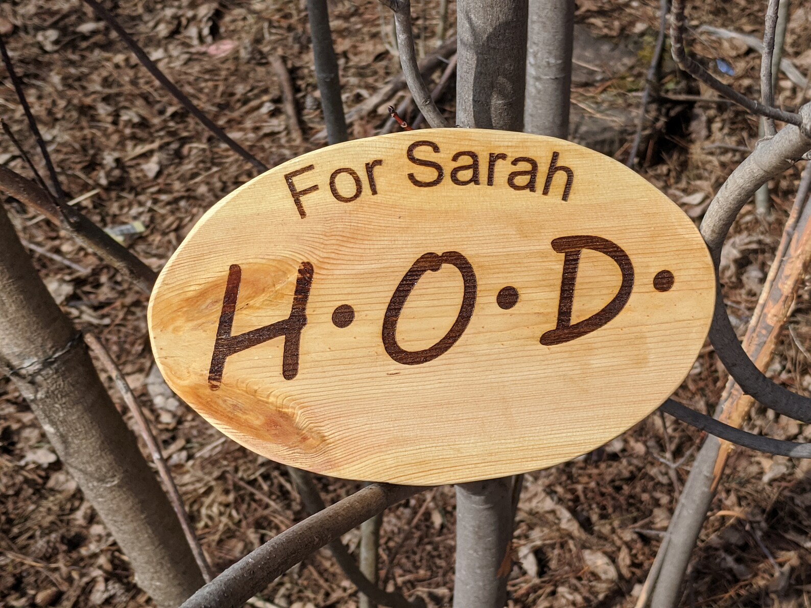 Custom Wood Sign-custom Wood Name Sign-oval Wood Sign-finished - Etsy