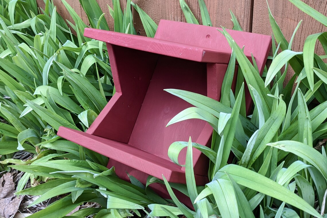 Nesting Box - Bird Shelf - American Robin - Eastern Phoebe - Morning ...