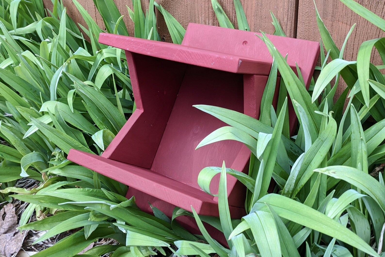 Nesting Box - Bird Shelf - American Robin - Eastern Phoebe - Morning ...