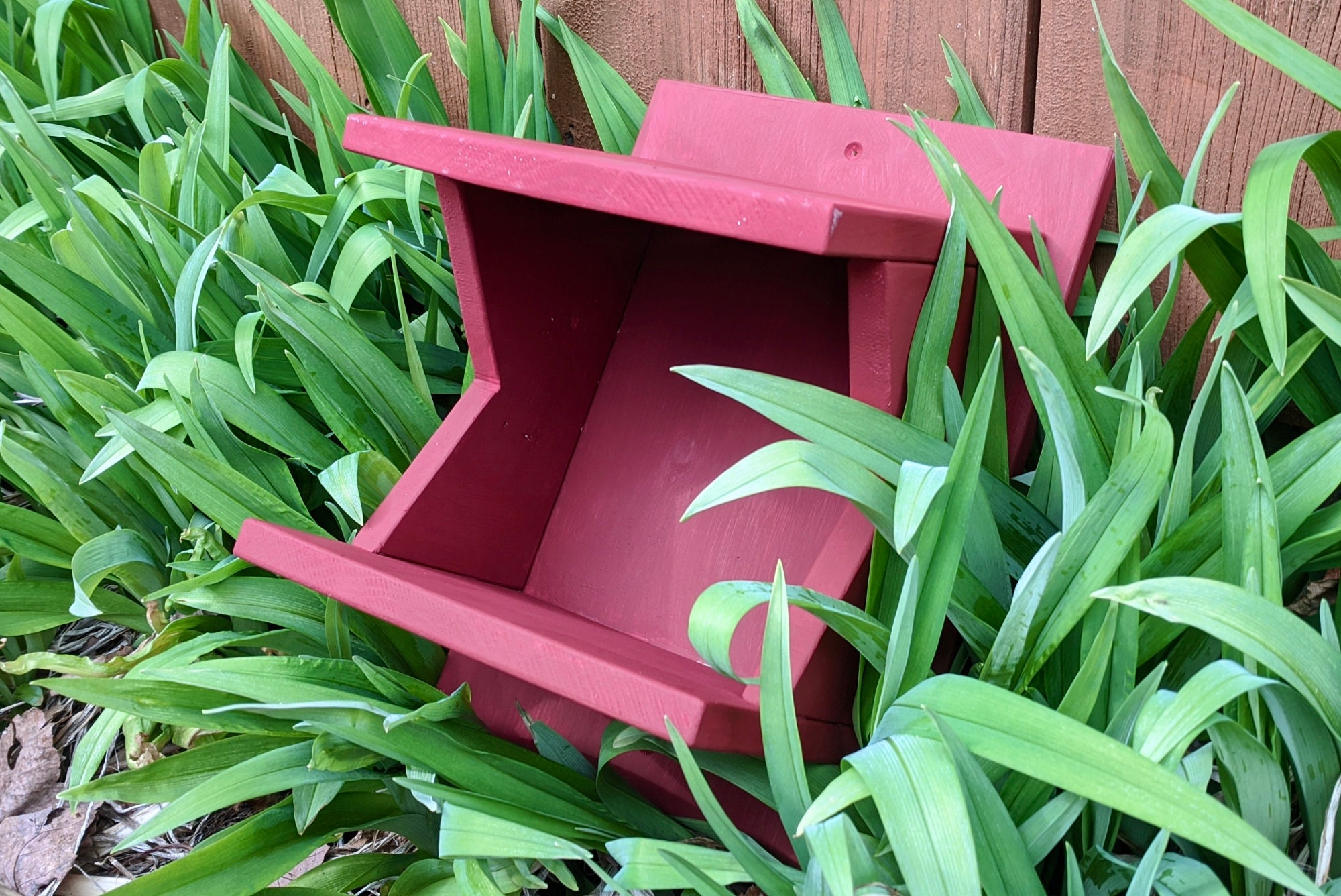 Nesting Box Bird Shelf American Robin Eastern Phoebe - Etsy