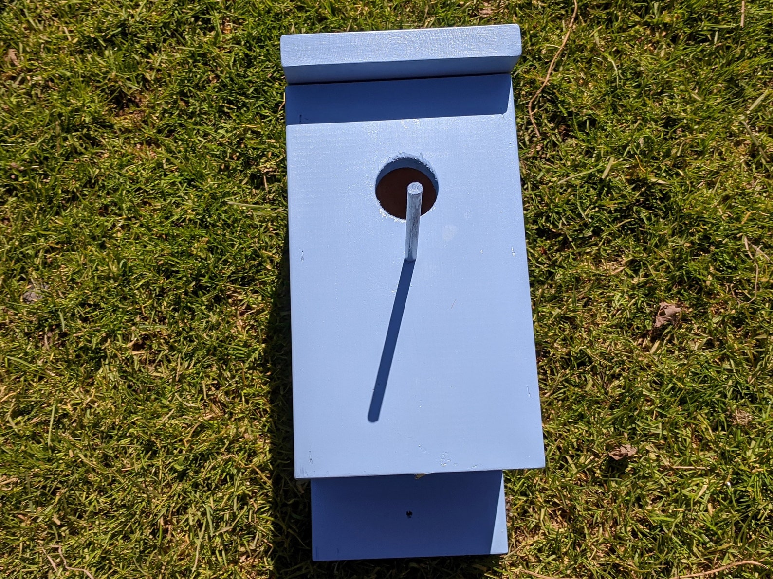 Bluebird Nest Boxes Western Bluebird Chickadees House - Etsy