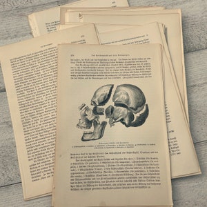 Antique Illustrated Science Study Book Pages - 50 Sheets - German ...