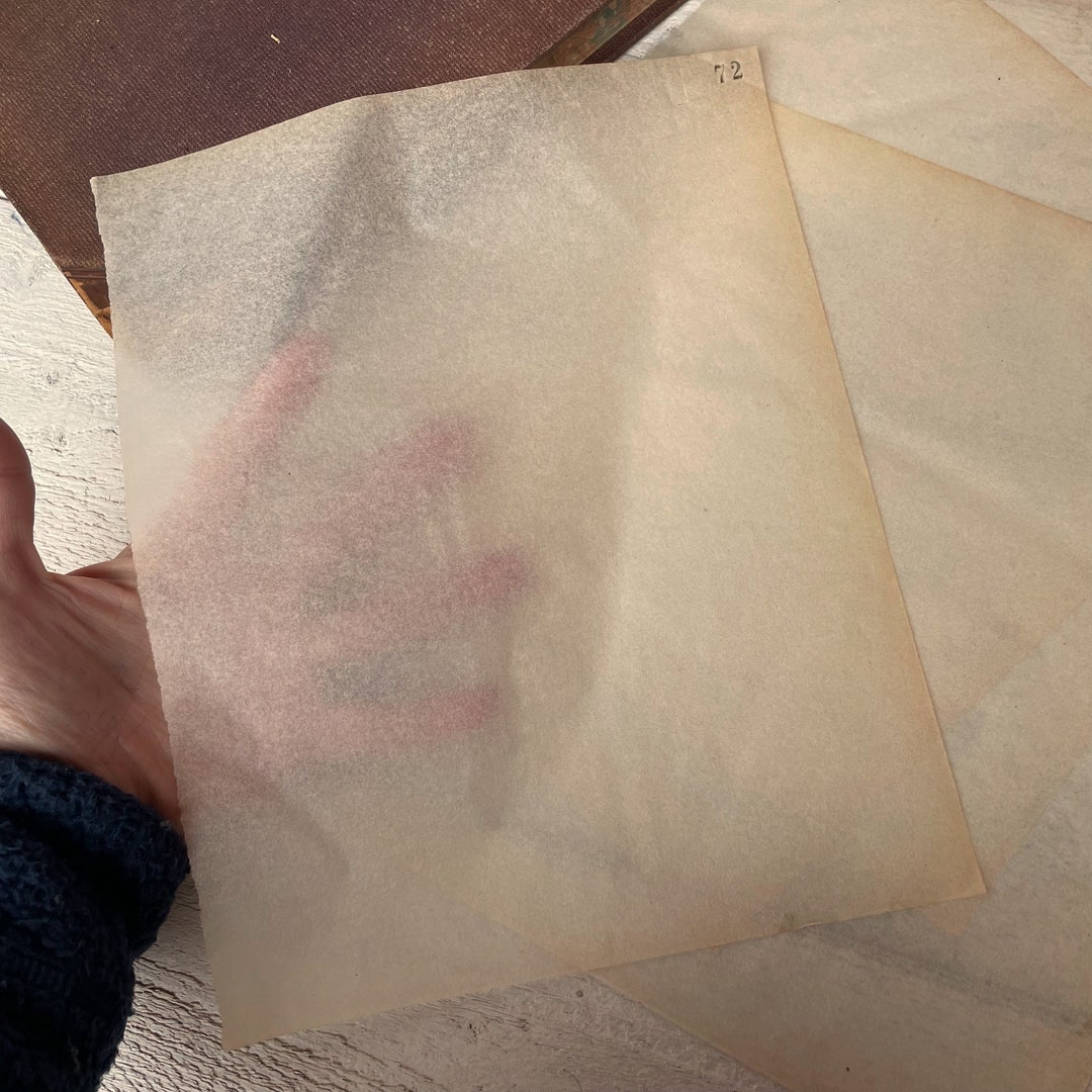 Vintage French Onion Skin Letters Tissue Thin, Aged Journaling Papers ...