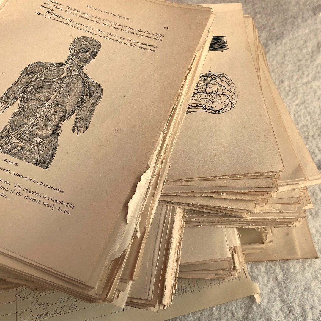 Antique 1901 Medical Book Pages, Large Paper Bundle for Crafts ...