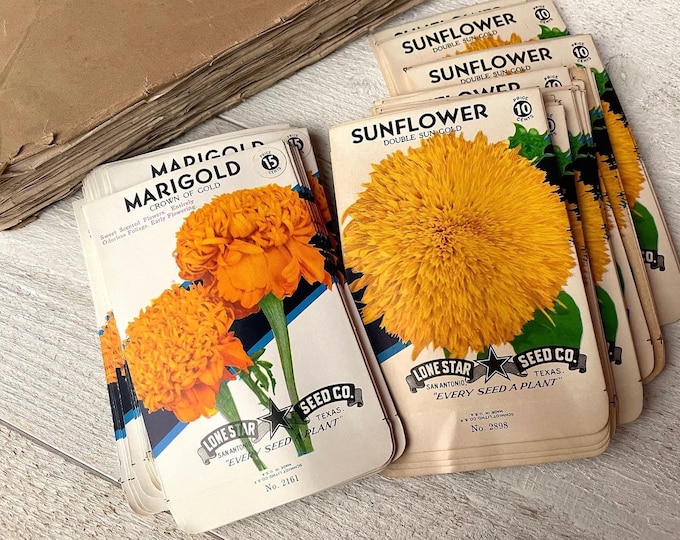 Sunflower Seed Packet Printable Primitive Vintage Sunflower Envelope ...
