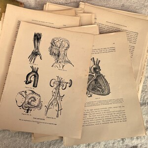 Antique 1901 Medical Book Pages, Large Paper Bundle for Crafts ...