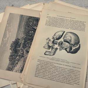 Antique Illustrated Science Study Book Pages - 50 Sheets - German ...