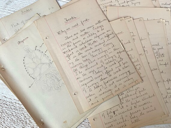 Vintage Handwritten school notes 1900s Antique Physiology | Etsy