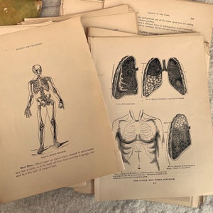 Antique 1901 Medical Book Pages, Large Paper Bundle for Crafts ...