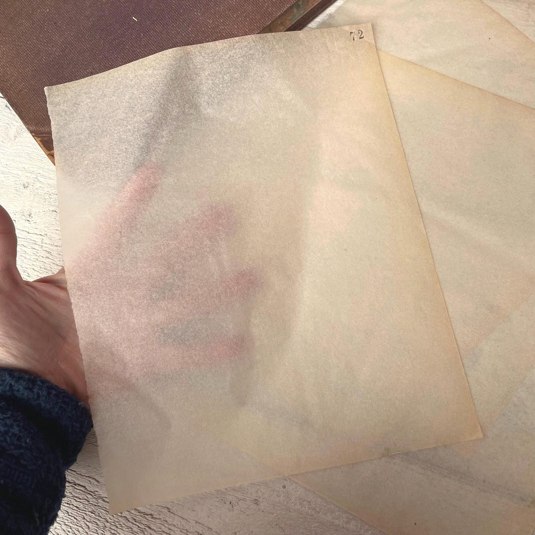 Vintage French Onion Skin Letters Tissue Thin, Aged Journaling Papers ...