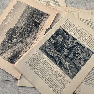 Antique Illustrated Science Study Book Pages - 50 Sheets - German ...