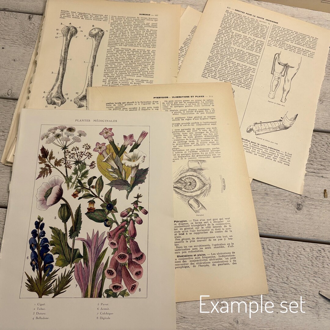 Antique French Medical Book Pages: Anatomy & Medicine Ephemera (28 ...