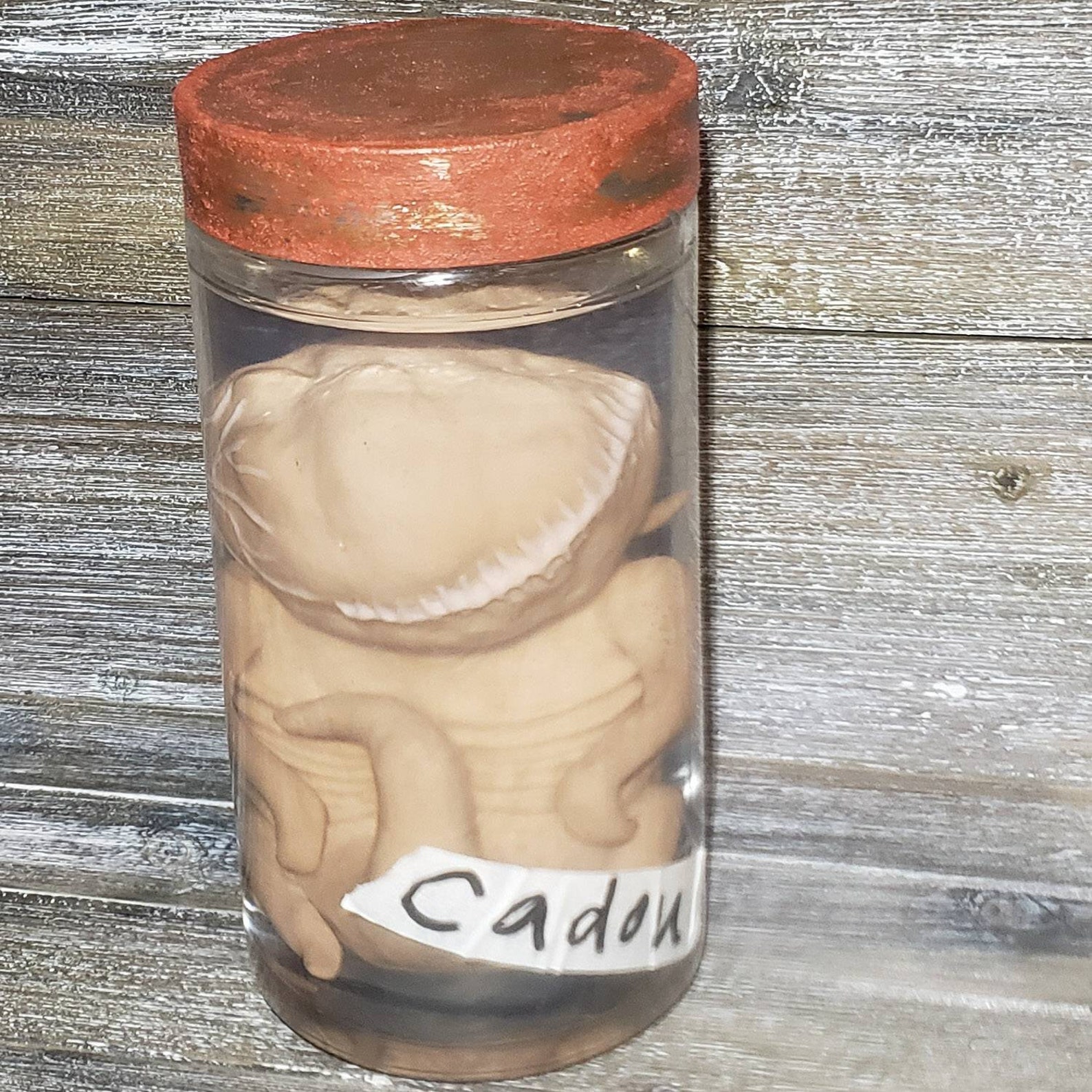 Resident Evil Fan Art Cadou Video Game Prop Replica Specimen Jar - Etsy