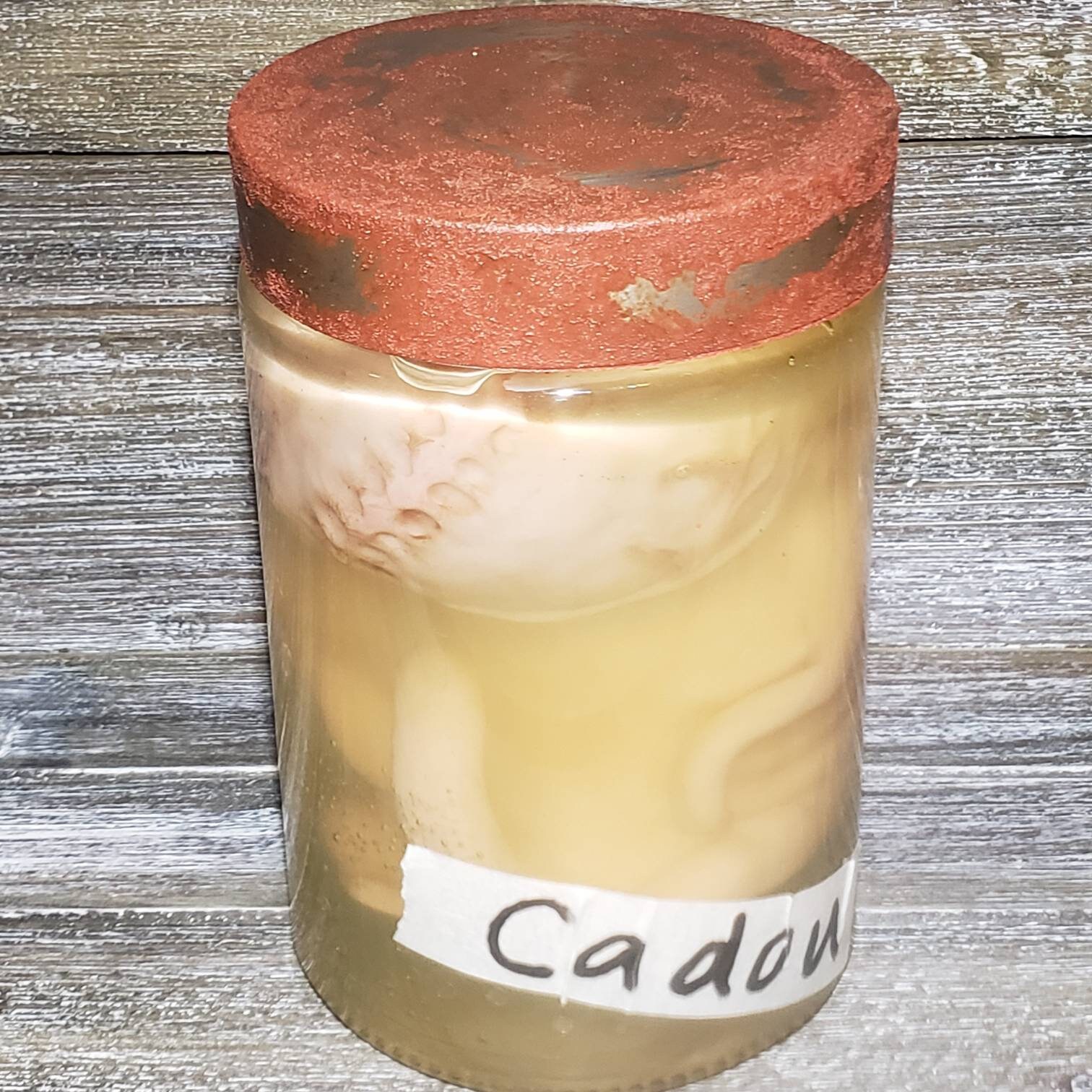 Resident Evil Fan Art Cadou Video Game Prop Replica Specimen Jar - Etsy