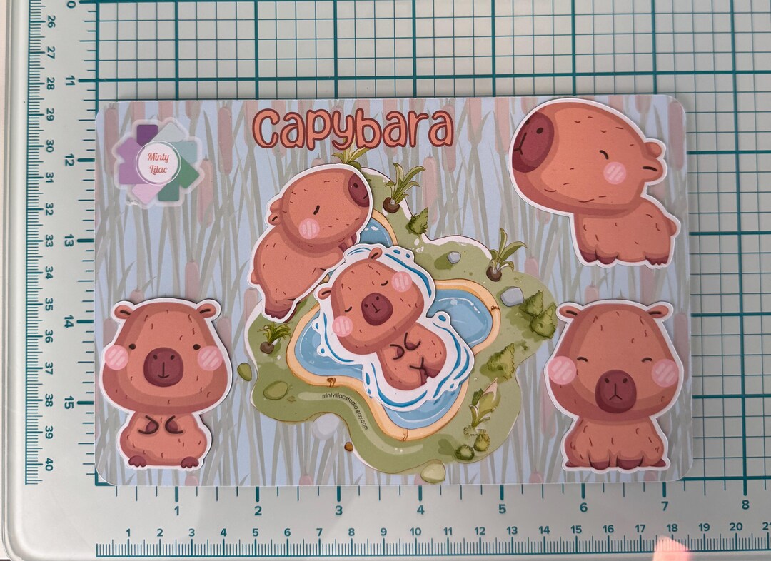 Cute Capybara Magnets Set | Kawaii Decorative Magnets - Etsy