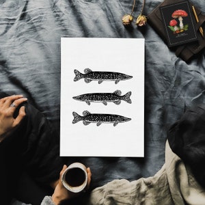 Pike Fish Print | Angling Artwork | Pike Illustration Poster - Etsy UK