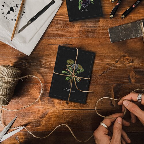 Botanical Postcards - Etsy