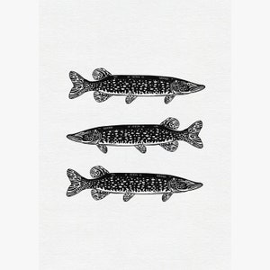 Pike Fish Print | Angling Artwork | Pike Illustration Poster - Etsy UK