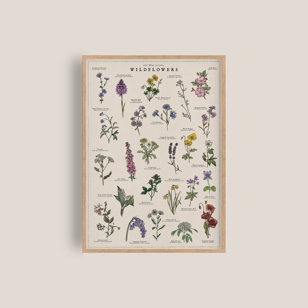 British Wildflowers Artwork | Botanical Print | Watercolour Flowers Art ...