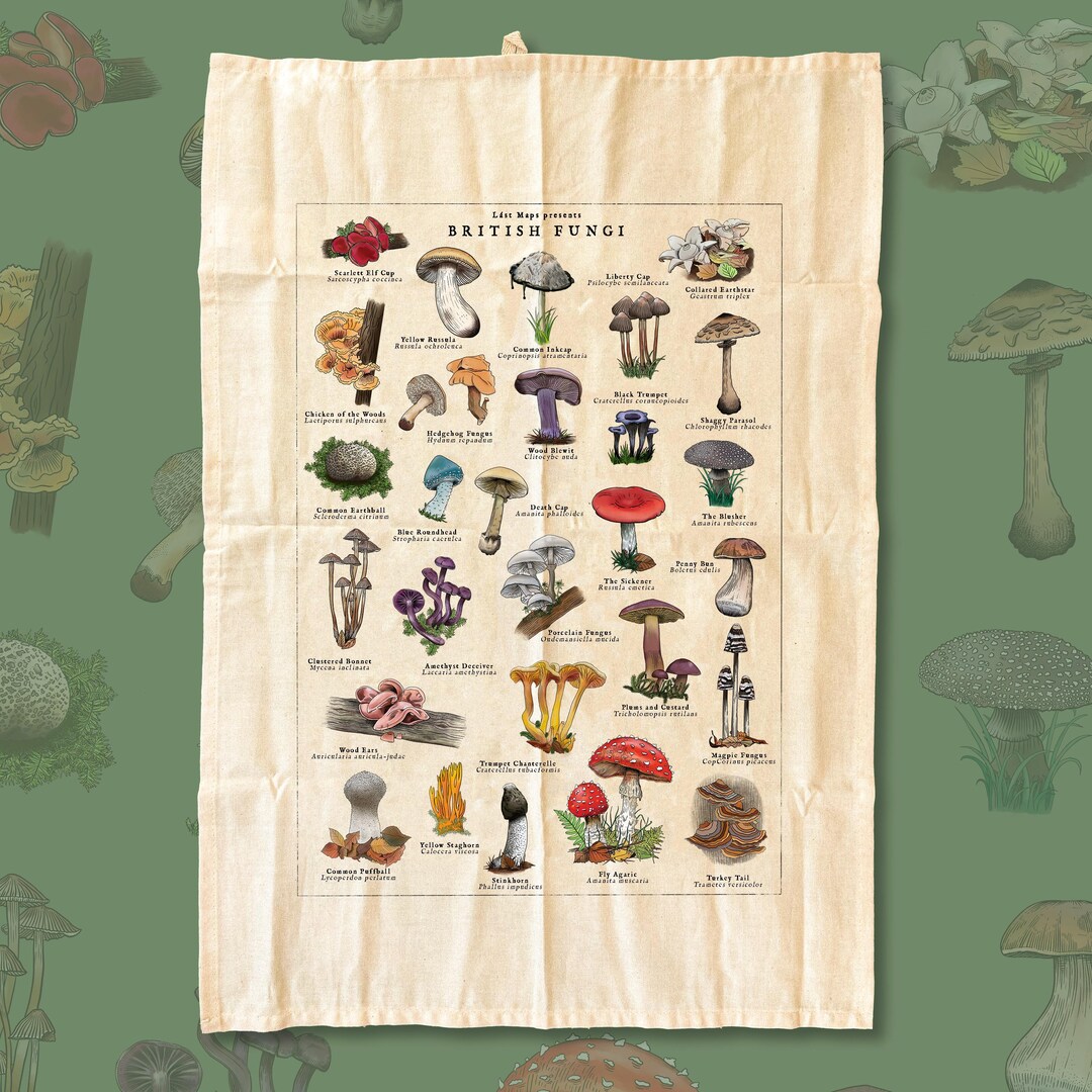 British Fungi Tea Towel | Vintage Mushroom Illustration | Botanical ...