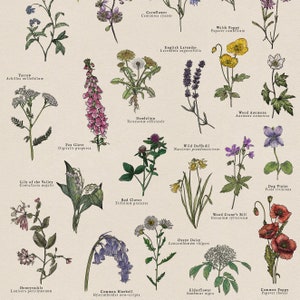 British Wildflowers Artwork | Botanical Print | Watercolour Flowers Art ...