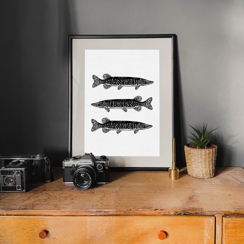 Pike Fish Print | Angling Artwork | Pike Illustration Poster - Etsy UK