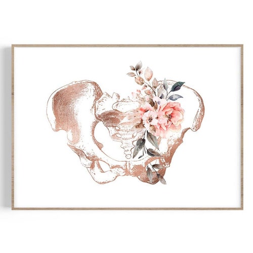 Pelvis Art Anatomy Art Print Female Pelvis Print Physical - Etsy