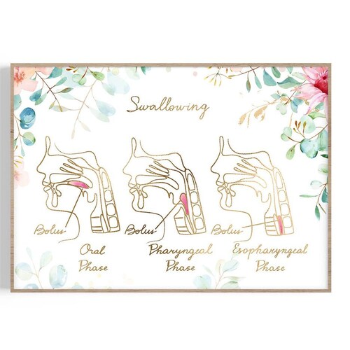 20 Speech Therapy Room Posters Slp Decor Language Pathologist Etsy