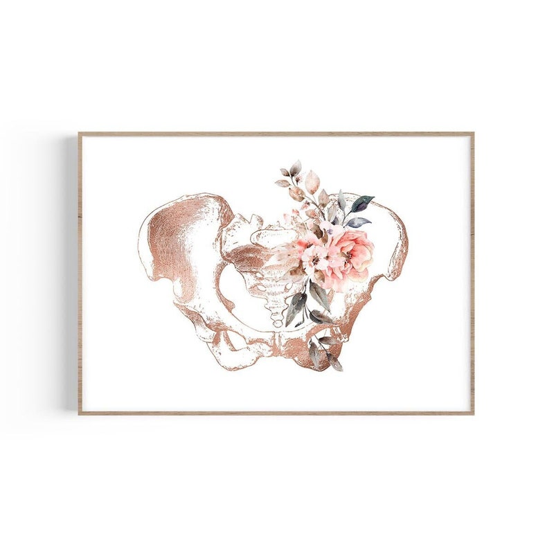 Pelvis - Etsy UK