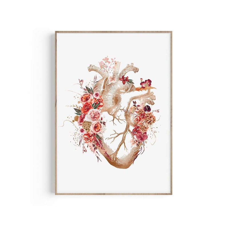 Heart Anatomy - Etsy