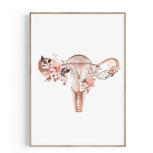 Uterus Anatomy Print Female Reproductive System Uterus Art - Etsy