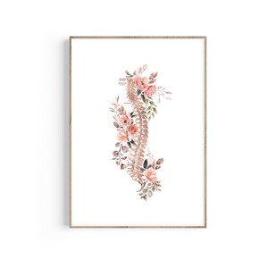 Spine Anatomy Poster Human Spine Print Chiropractor Gift - Etsy