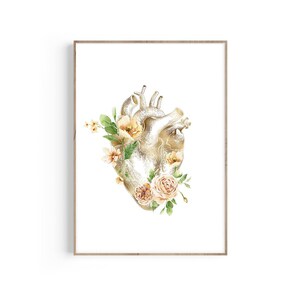 Heart Anatomy Print Heart Anatomy Poster Anatomical Heart - Etsy