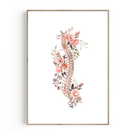 Spine Anatomy Poster Human Spine Print Chiropractor Gift - Etsy