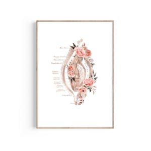 Vagina Anatomy Print Female Reproductive System Vagina Art - Etsy