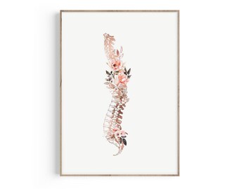 Spine Anatomy Poster - Etsy