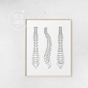 Spine One Line Art Human Spine Print Chiropractor Gift | Etsy