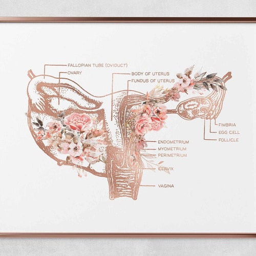 Obgyn Gift Uterus Anatomy Art Uterus Art Print Gynecologist - Etsy