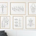 SLP Office Decor: Continuous Line Art Prints (digital Download) - Etsy