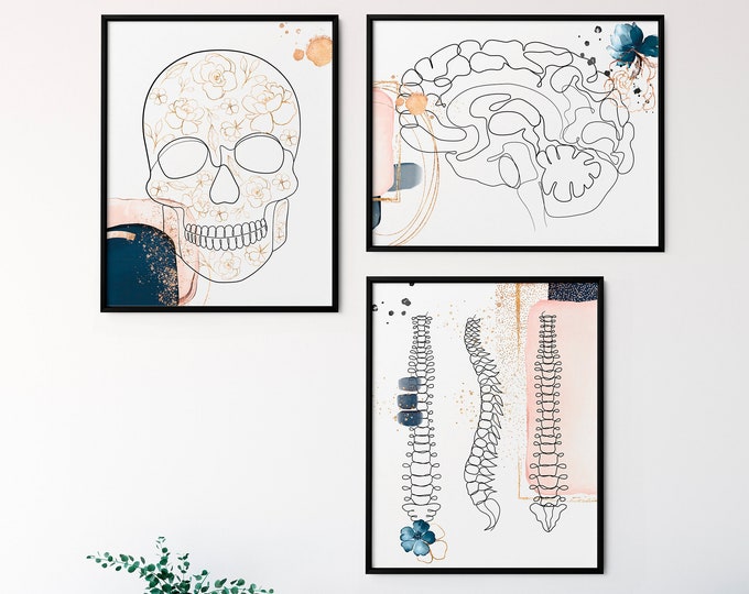 Medical Set One Line Art Skull Print Spinal Cord Anatomy - Etsy